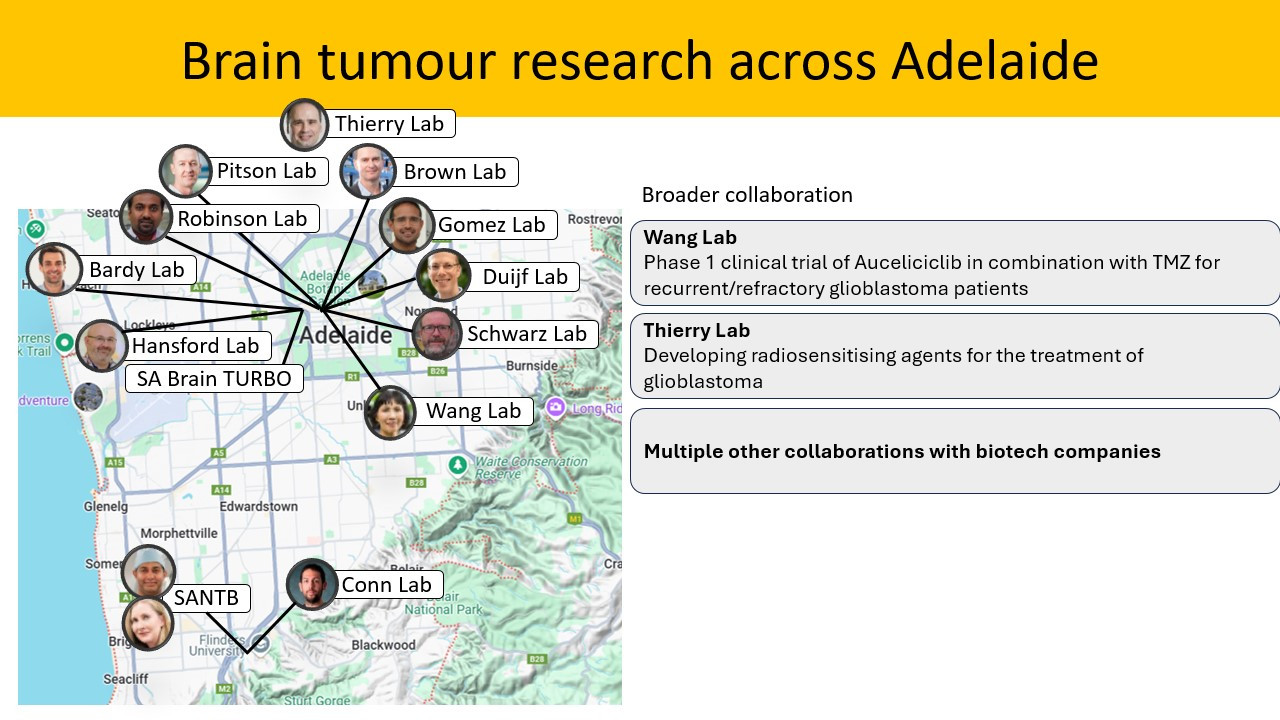 Grey May 2025 Brain Tumour Research Update